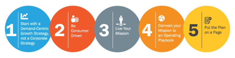 Developing a Winning Growth Strategy - Seurat Group