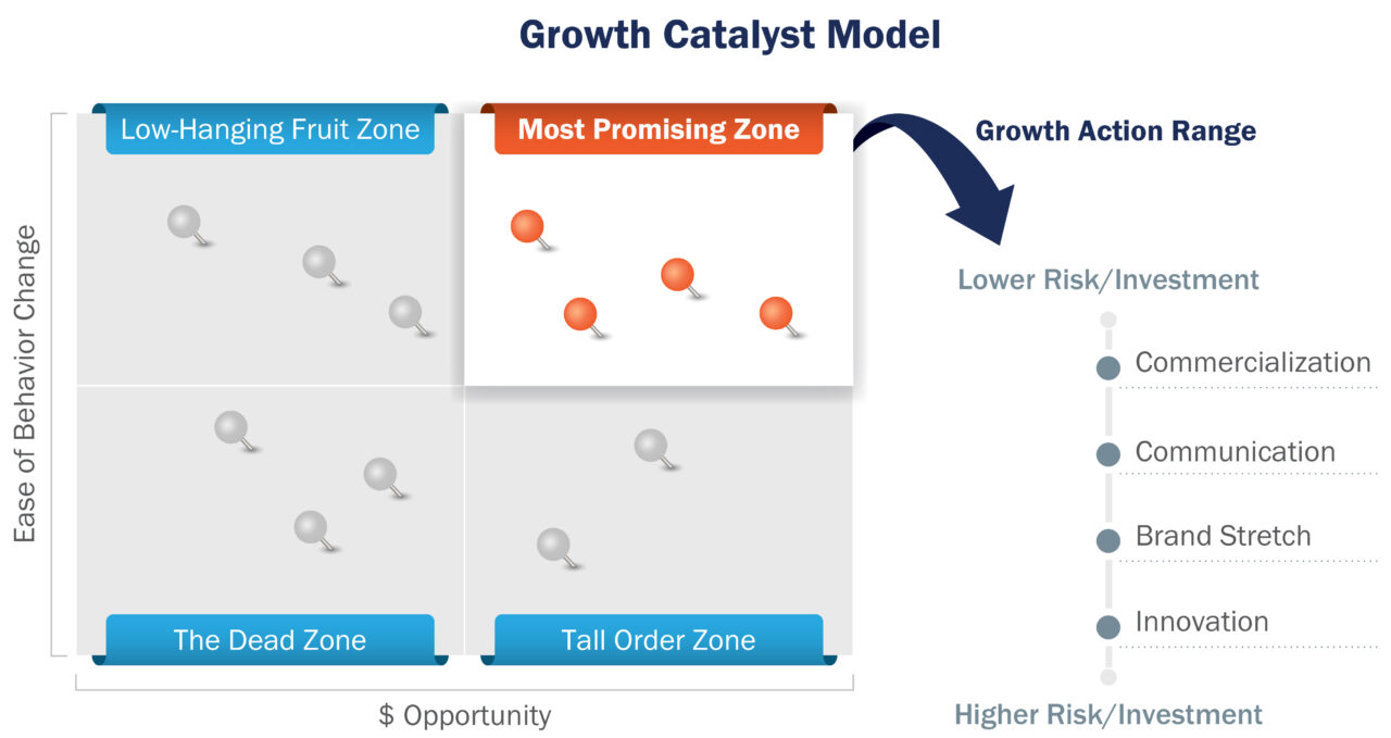 Winning Today vs. Winning Tomorrow: Where will Your Growth Come From ...