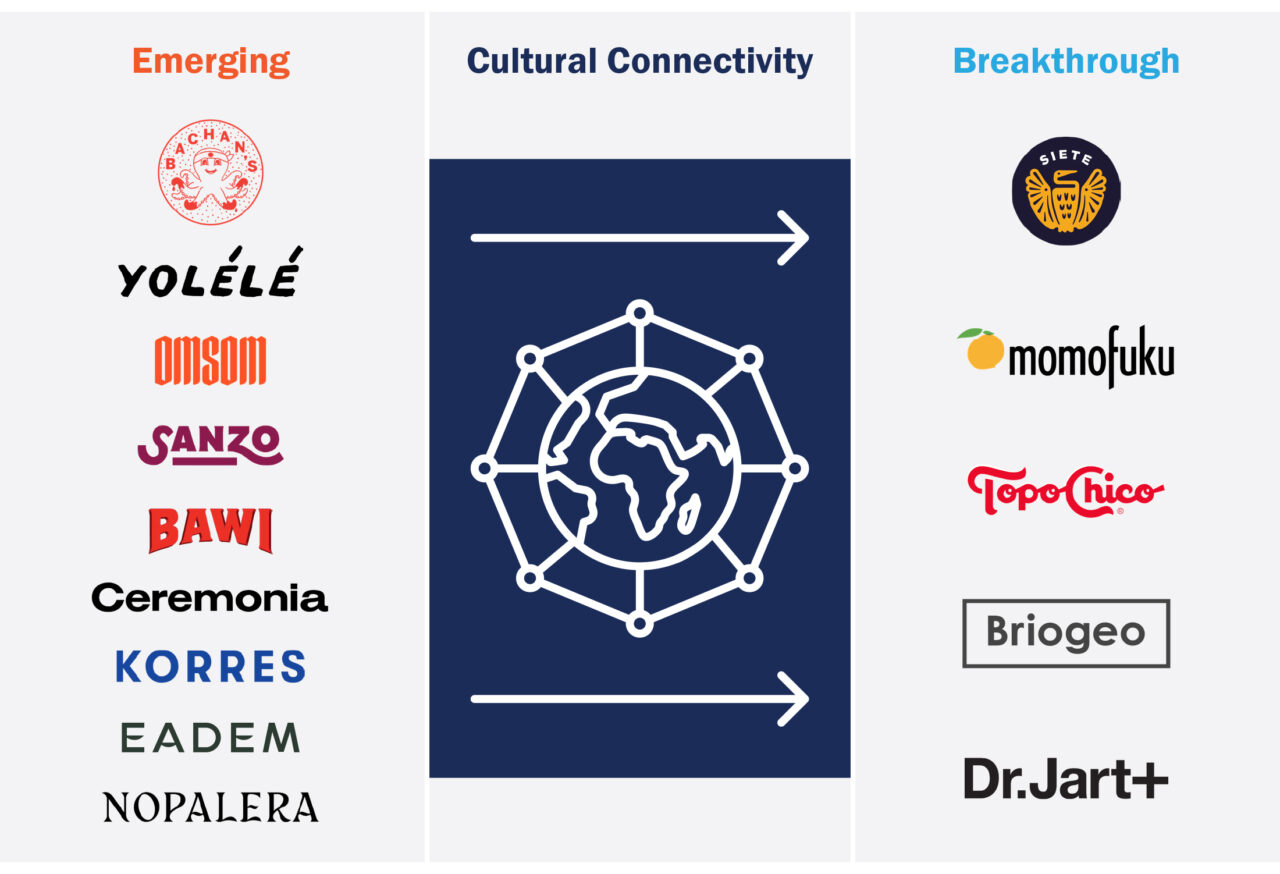 2024 Challenger Brand Paper: Breaking Through Via Cultural Connectivity ...